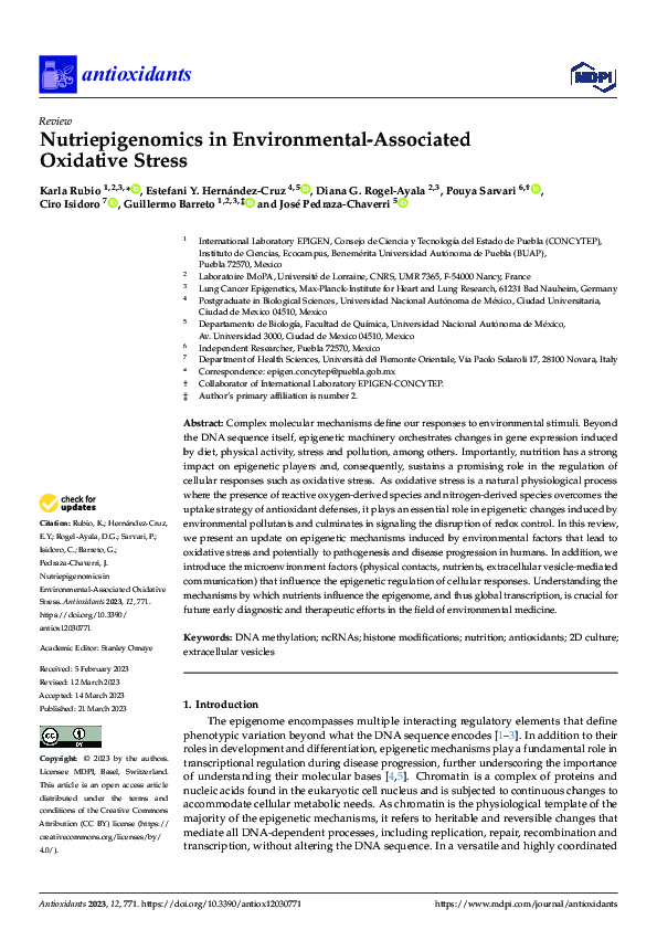 (PDF) Nutriepigenomics in Environmental-Associated Oxidative Stress
