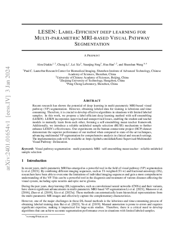 (PDF) LESEN: Label-Efficient deep learning for Multi-parametric MRI-based Visual Pathway ...
