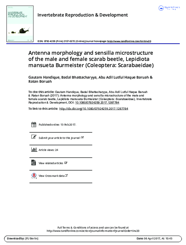(PDF) Antenna morphology and sensilla microstructure of the male and female scarab beetle ...