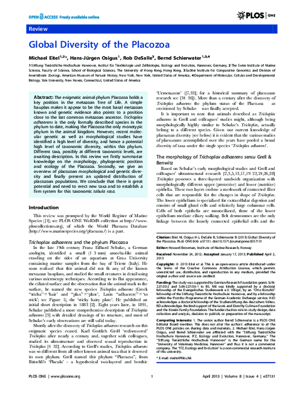(PDF) Global Diversity of the Placozoa