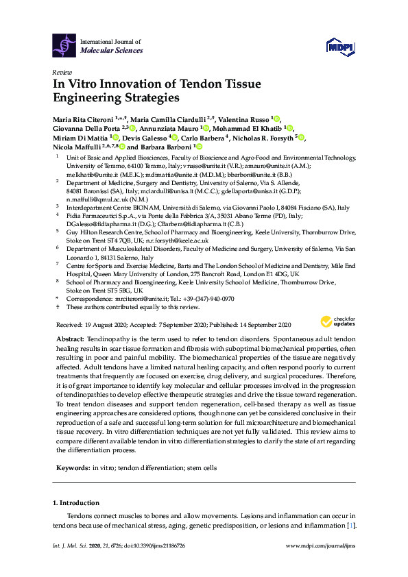 (PDF) In Vitro Innovation of Tendon Tissue Engineering Strategies