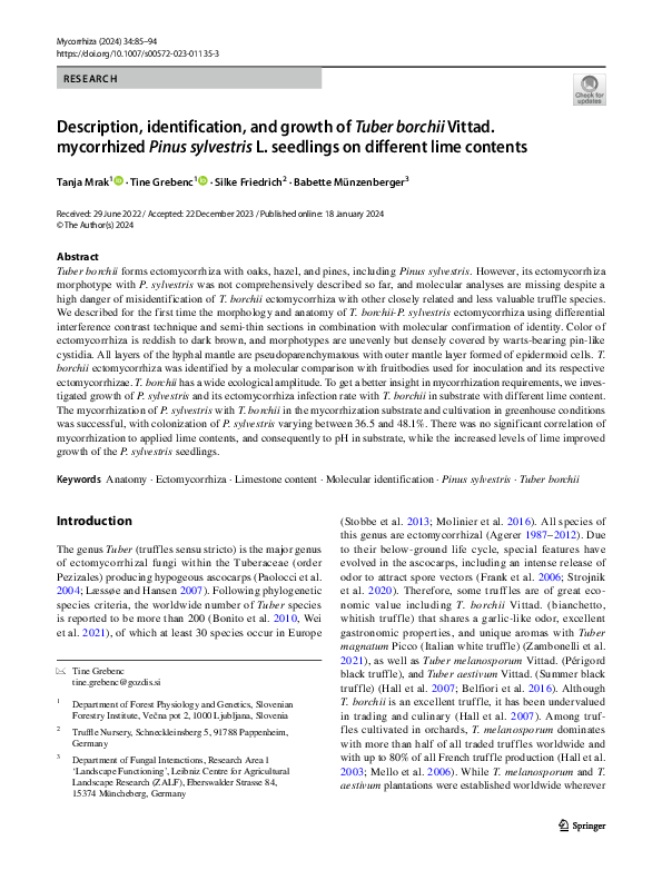 (PDF) Description, identification, and growth of Tuber borchii Vittad ...