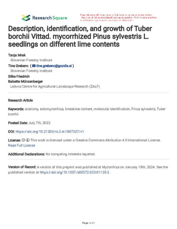 (PDF) Description, identification, and growth of Tuber borchii Vittad ...