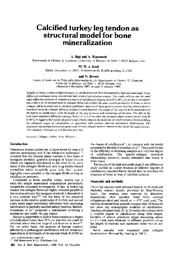 (PDF) Calcified turkey leg tendon as structural model for bone ...