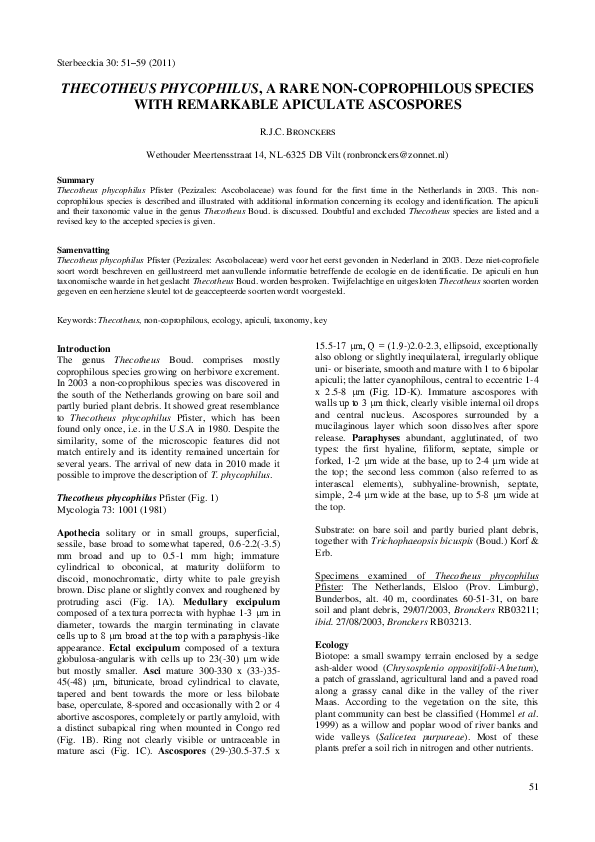(PDF) Thecotheus Phycophilus, a rare non-coprophilous species with ...