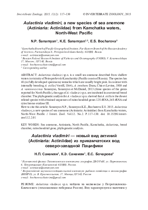 (PDF) Aulactinia vladimiri, a new species of sea anemone (Actiniaria ...