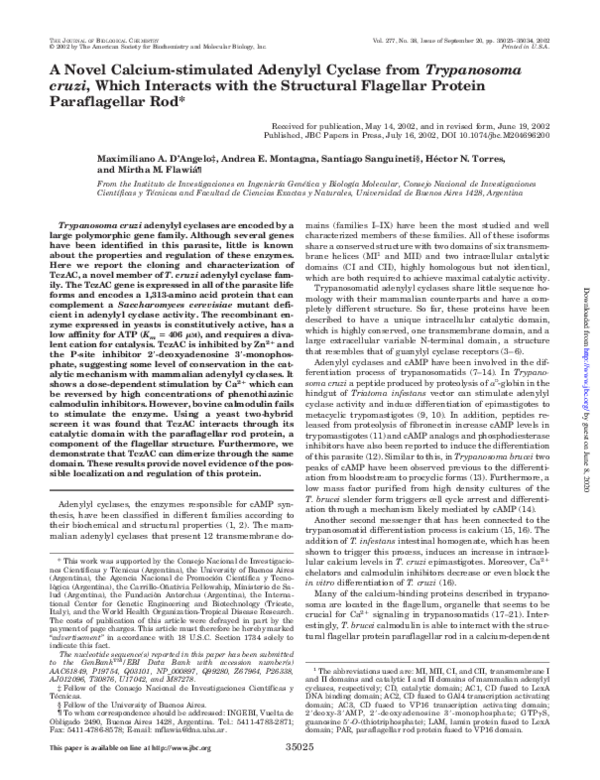 (PDF) A Novel Calcium-stimulated Adenylyl Cyclase fromTrypanosoma cruzi ...