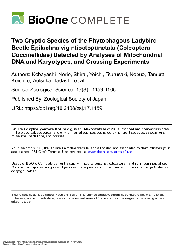 (PDF) Two Cryptic Species of the Phytophagous Ladybird Beetle Epilachna ...