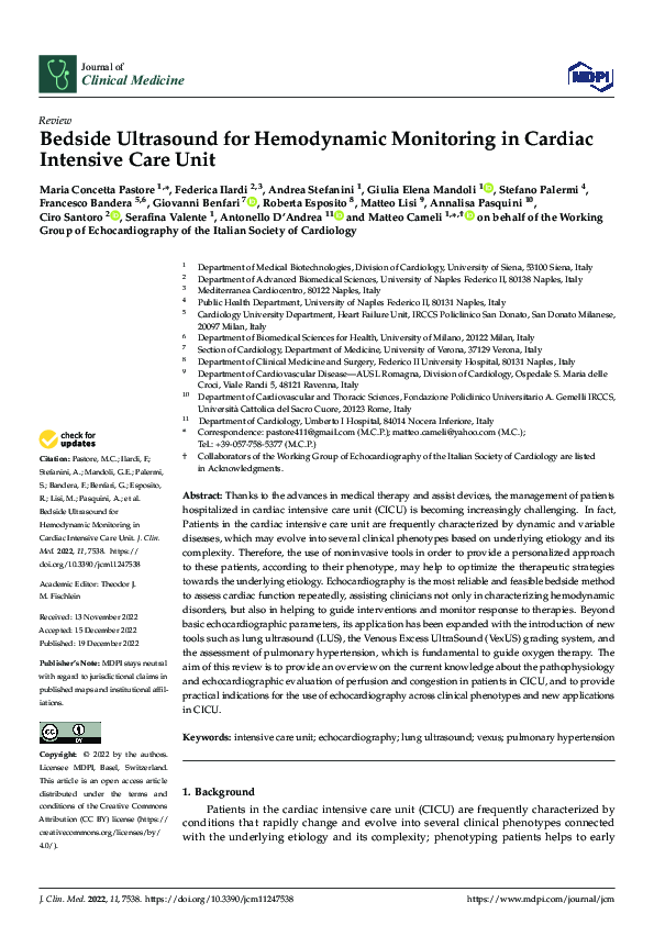 (PDF) Bedside Ultrasound for Hemodynamic Monitoring in Cardiac ...