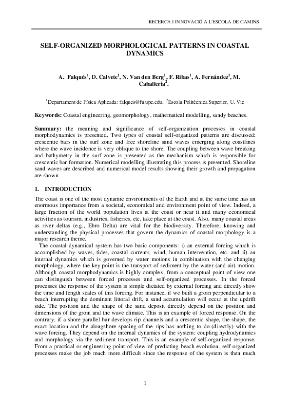 (PDF) Self-organized morphological patterns in coastal dynamics