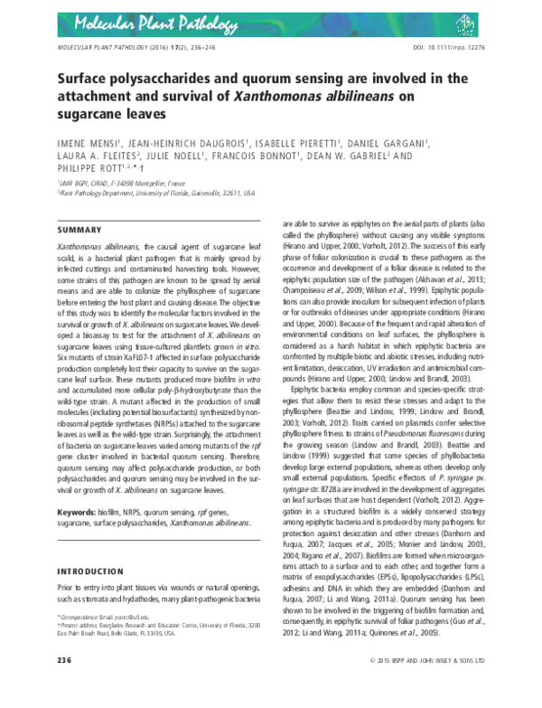 (PDF) Surface polysaccharides and quorum sensing are involved in the ...