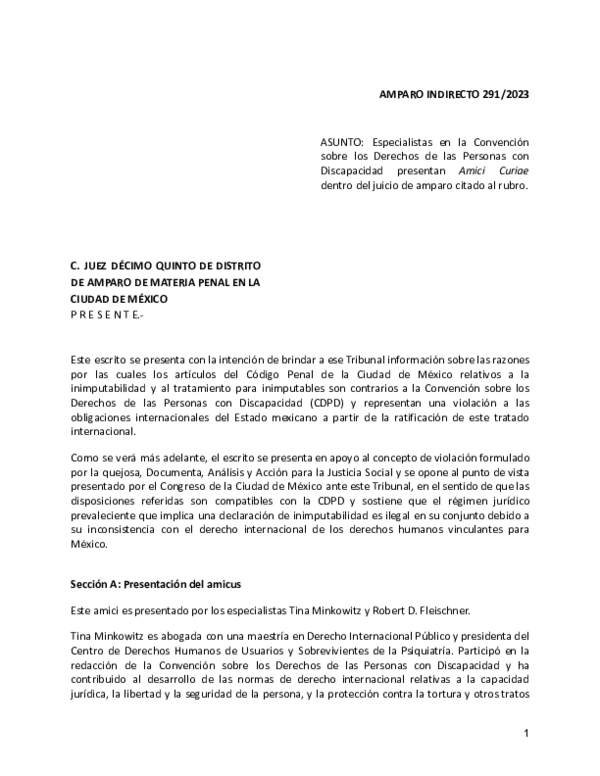 (PDF) Mexico Amicus Spanish submitted to court