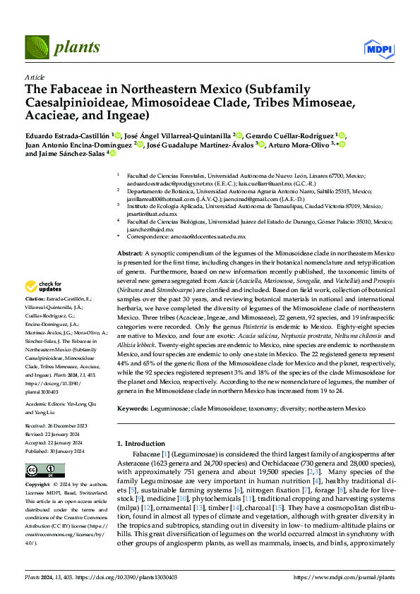 (PDF) The Fabaceae in Northeastern Mexico (Subfamily Caesalpinioideae ...