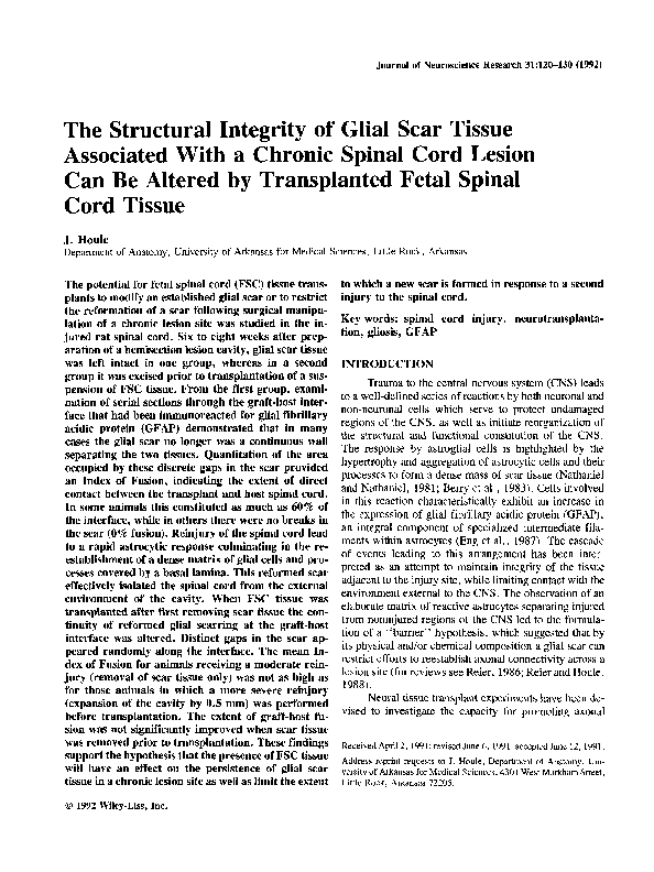 (PDF) The structural integrity of glial scar tissue associated with a ...