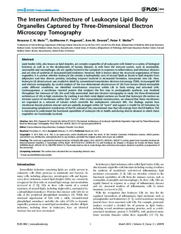 (PDF) The Internal Architecture of Leukocyte Lipid Body Organelles ...