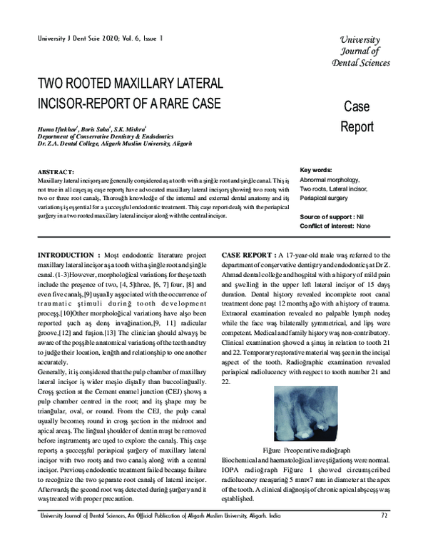 (PDF) Two Rooted Maxillary Lateral Incisor
