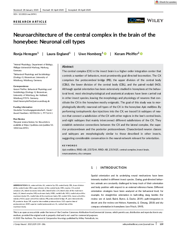 (PDF) Neuroarchitecture of the central complex in the brain of the ...