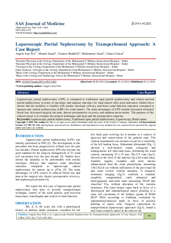 (PDF) Laparoscopic Partial Nephrectomy by Transperitoneal Approach: A ...