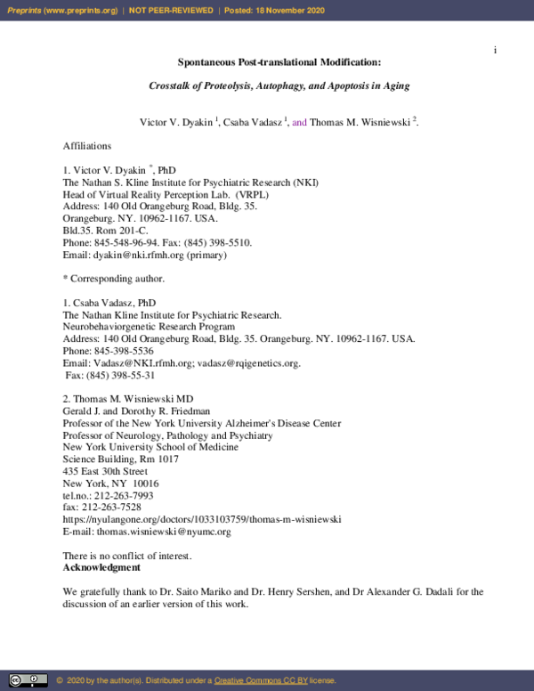 Pdf Spontaneous Post Translational Modification Crosstalk Of