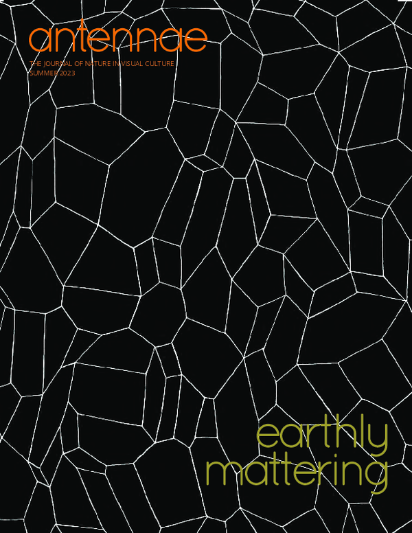 (PDF) Antennae Issue #61-Earthly Mattering