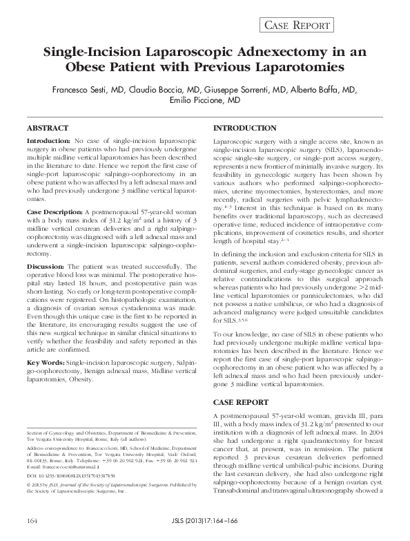 (PDF) Single-Incision Laparoscopic Adnexectomy in an Obese Patient with ...