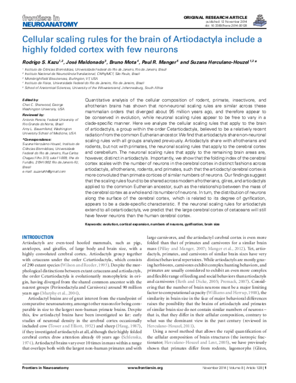 (PDF) Cellular scaling rules for the brain of Artiodactyla include a ...