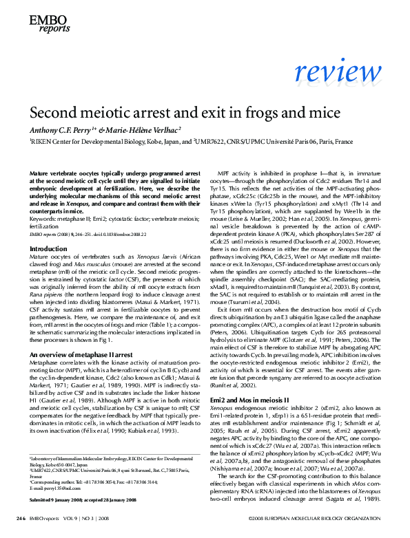 (PDF) Second meiotic arrest and exit in frogs and mice