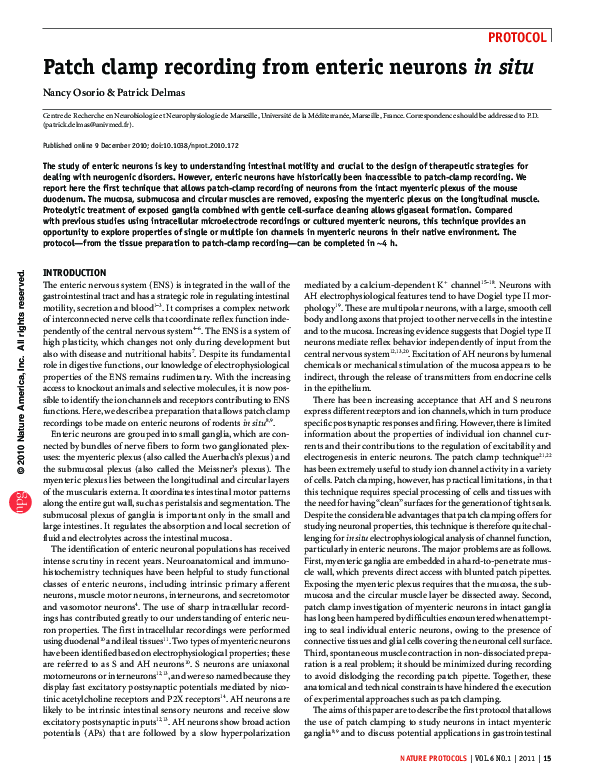 (PDF) Patch clamp recording from enteric neurons in situ | nancy Osorio ...