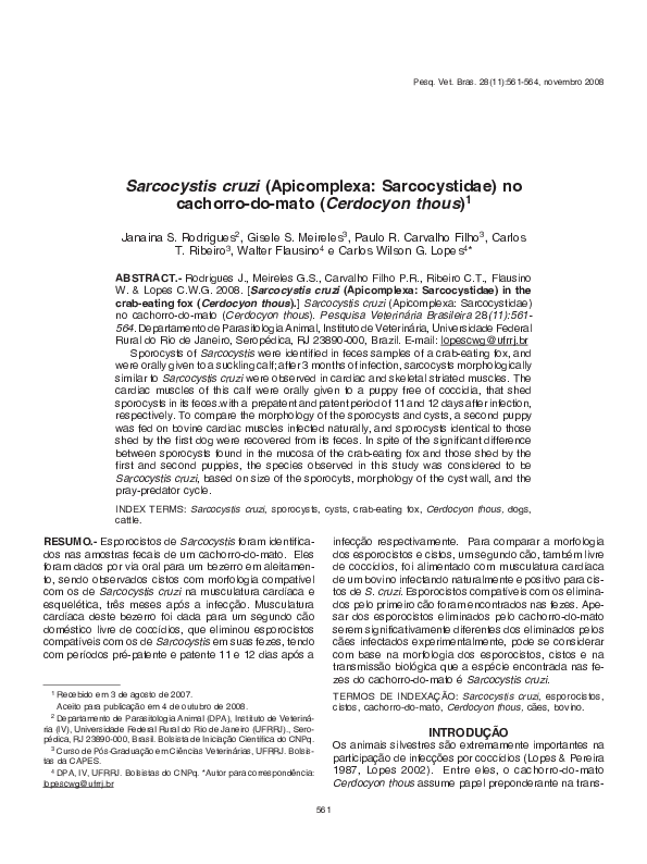 (PDF) Sarcocystis cruzi (Apicomplexa: Sarcocystidae) no cachorro-do ...