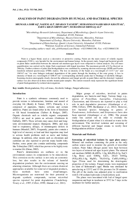 (PDF) Analysis of Paint Degradation by Fungal and Bacterial Species