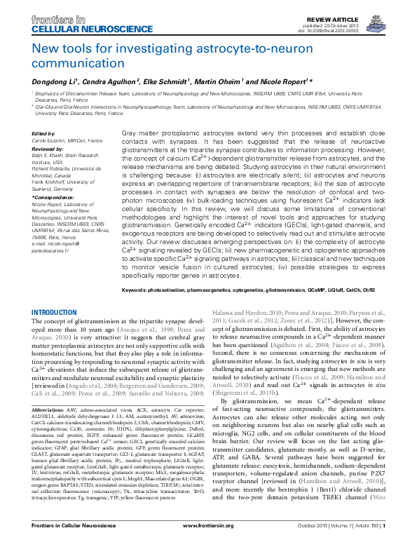(PDF) New tools for investigating astrocyte-to-neuron communication
