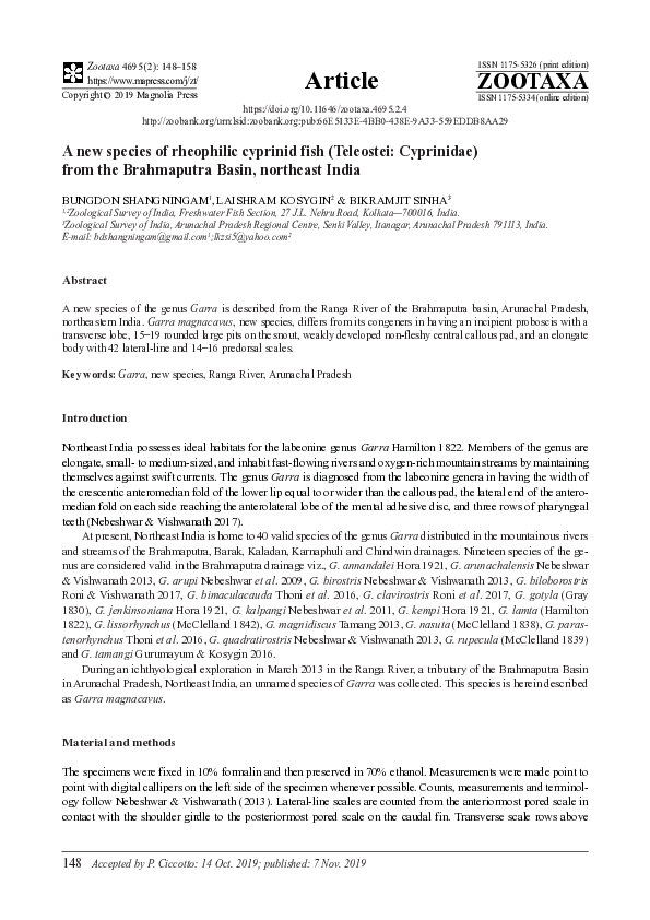 (PDF) A new species of rheophilic cyprinid fish (Teleostei: Cyprinidae ...