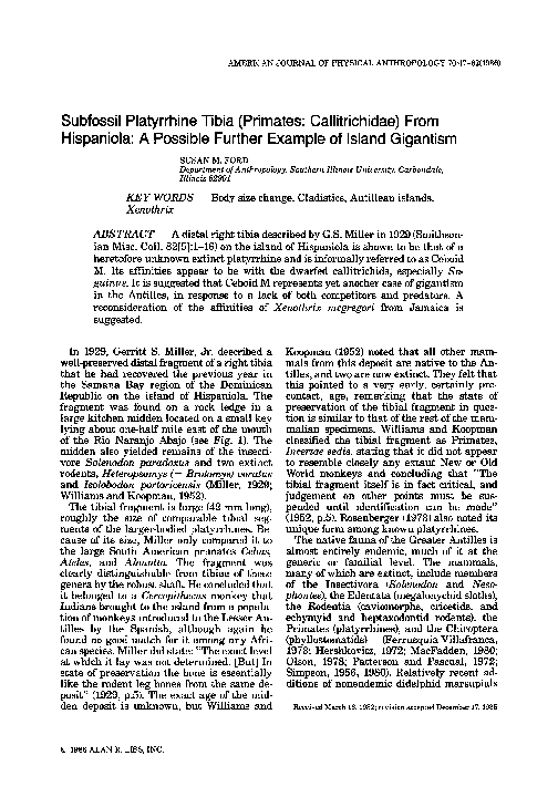 (PDF) Subfossil platyrrhine tibia (Primates: Callitrichidae) from ...