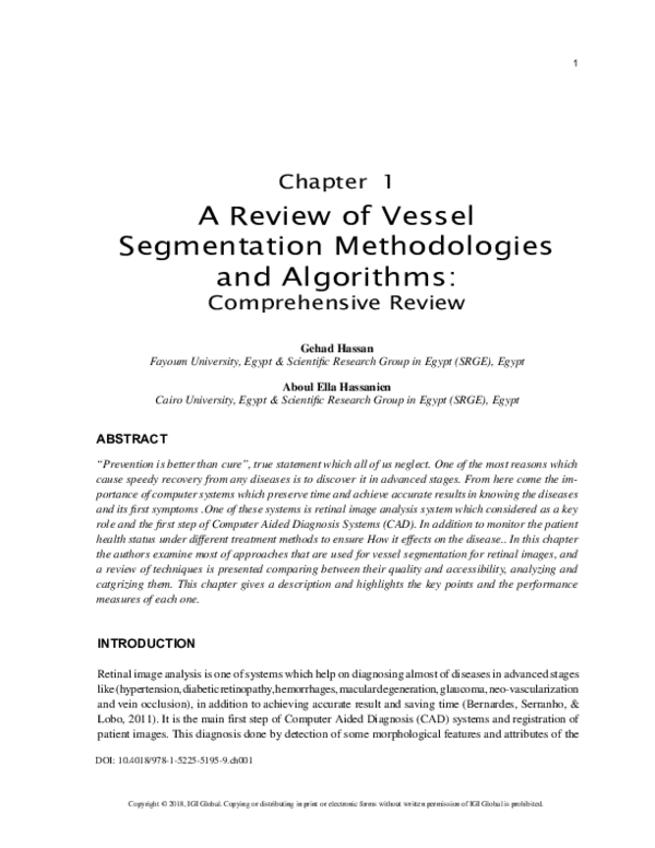 (PDF) A Review of Vessel Segmentation Methodologies and Algorithms