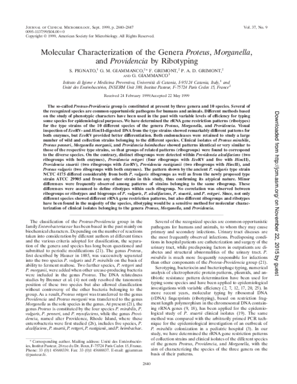 (PDF) Molecular Characterization of the GeneraProteus, Morganella ...