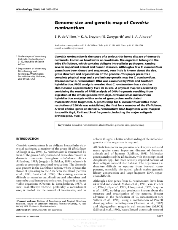 (PDF) Genome size and genetic map of Cowdria ruminantium