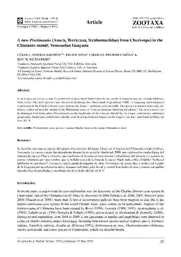 (PDF) A new Pristimantis (Anura, Terrarana, Strabomantidae) from Churi ...