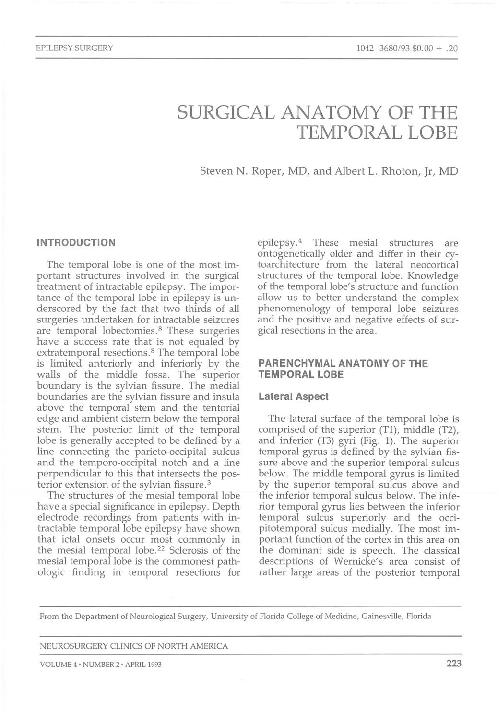 (PDF) Surgical Anatomy of the Temporal Lobe