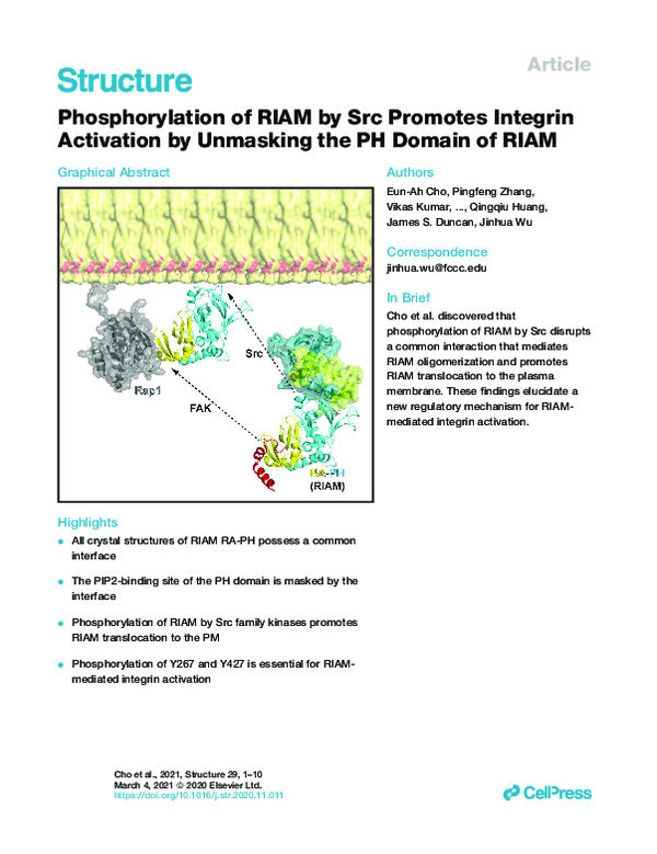 (PDF) Phosphorylation of RIAM by src promotes integrin activation by ...