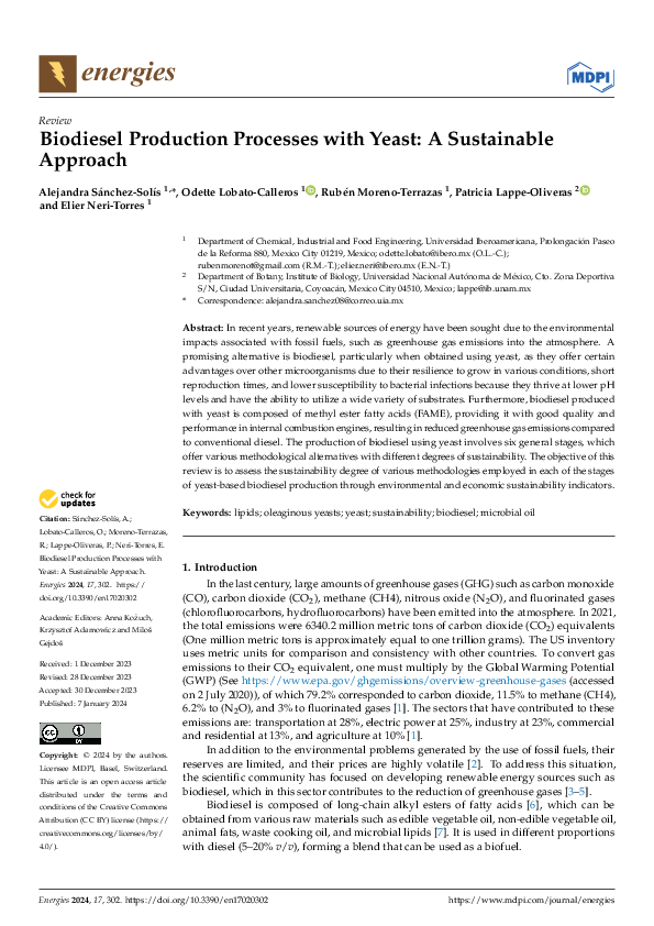 (PDF) Biodiesel Production Processes with Yeast: A Sustainable Approach