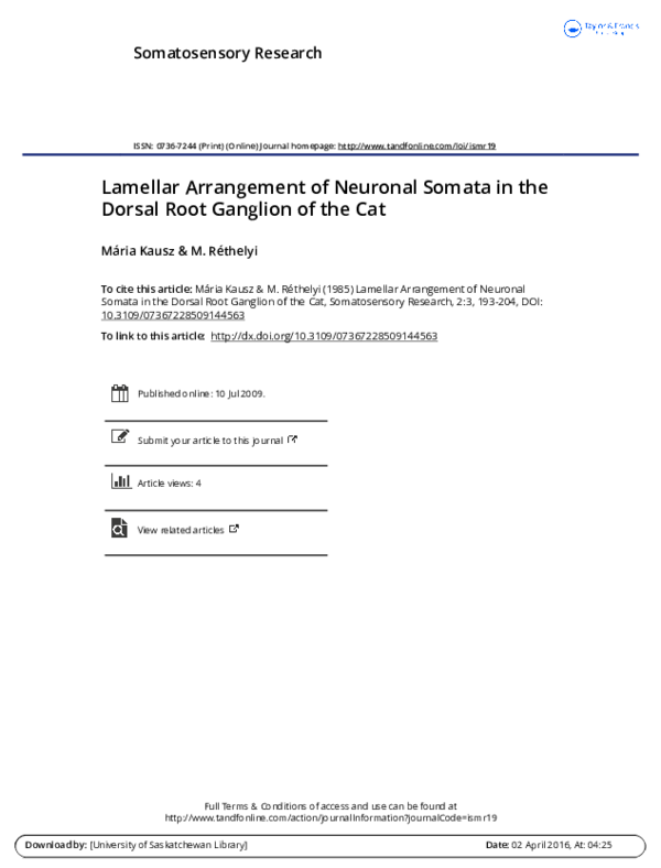 (PDF) Lamellar Arrangement of Neuronal Somata in the Dorsal Root ...