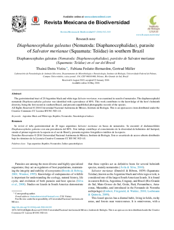 (PDF) Diaphanocephalus galeatus (Nematoda: Diaphanocephalidae ...