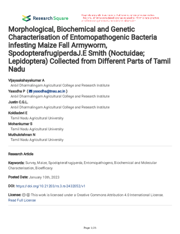 (PDF) Morphological, Biochemical and Genetic Characterisation of ...
