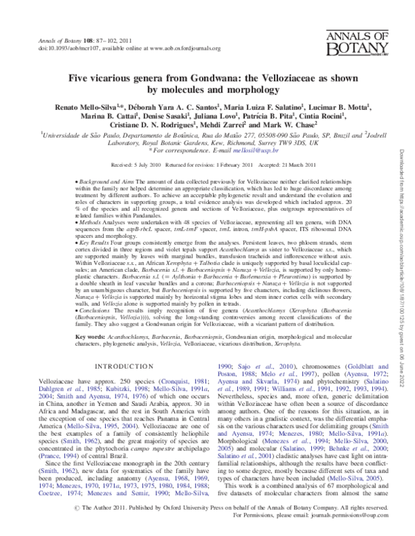 (PDF) Five vicariant genera from Gondwana: the Velloziaceae as shown by ...