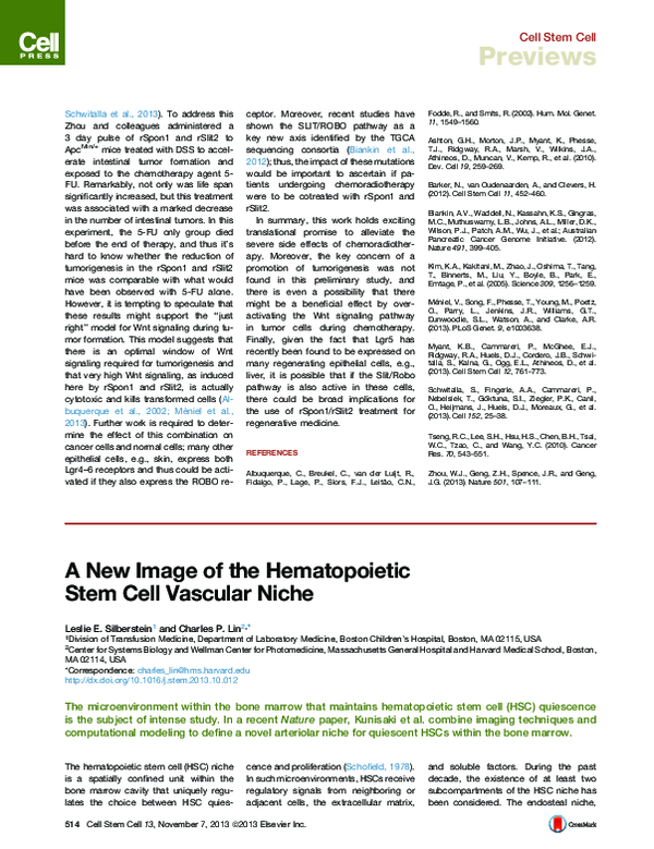 (PDF) A New Image of the Hematopoietic Stem Cell Vascular Niche ...