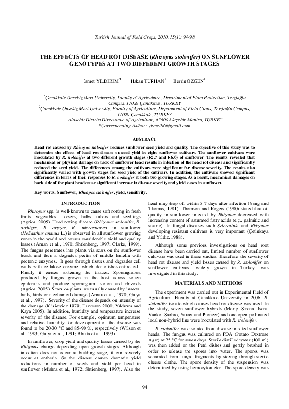 (PDF) The effects of head rot disease (Rhizopus stolonifer) on ...