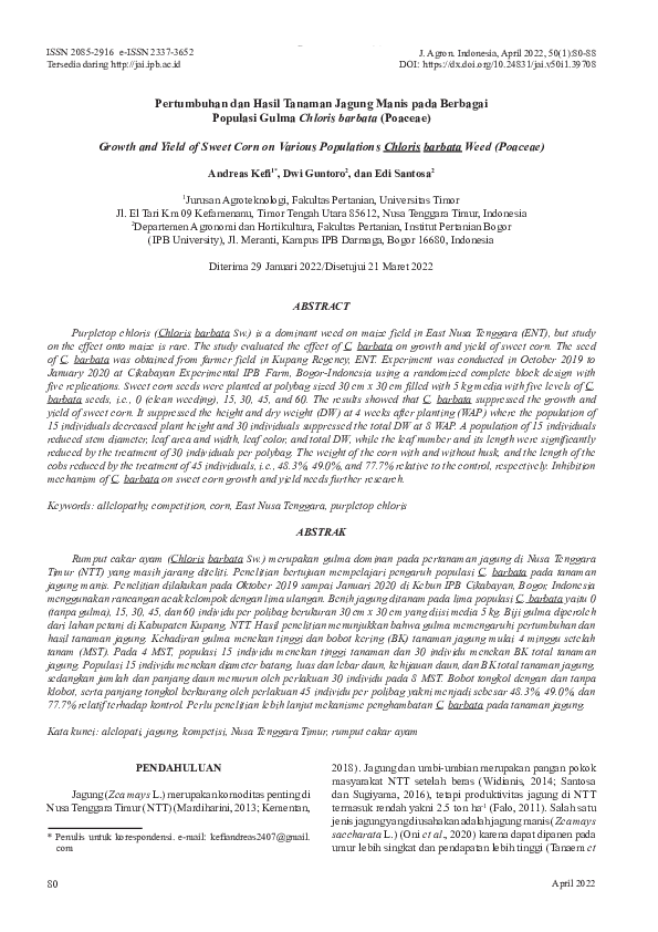 (PDF) Pertumbuhan dan Hasil Tanaman Jagung Manis pada Berbagai Populasi ...
