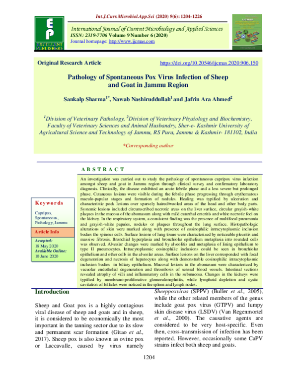 (PDF) Pathology of Spontaneous Pox Virus Infection of Sheep and Goat in ...