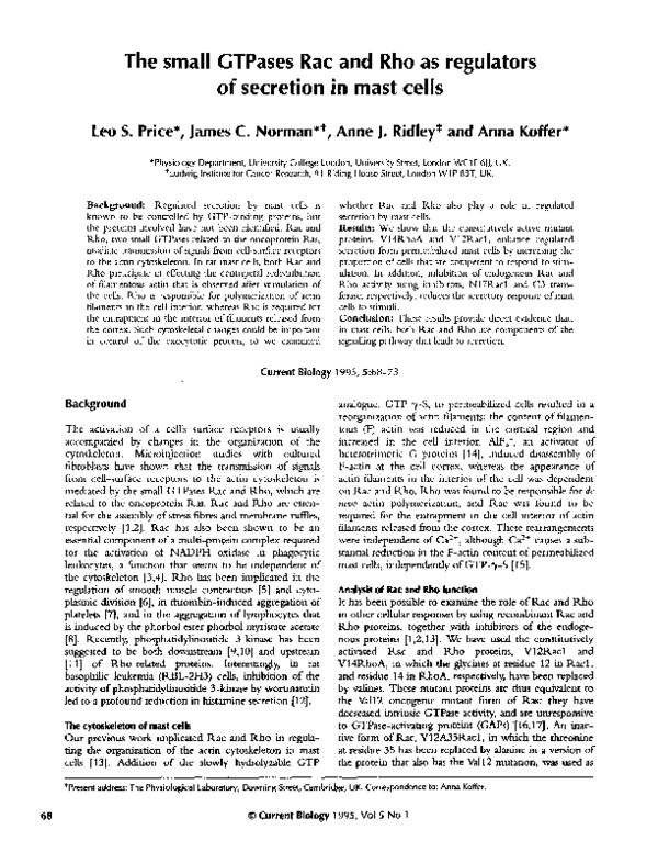 (PDF) The small GTPases Rac and Rho as regulators of secretion in mast ...