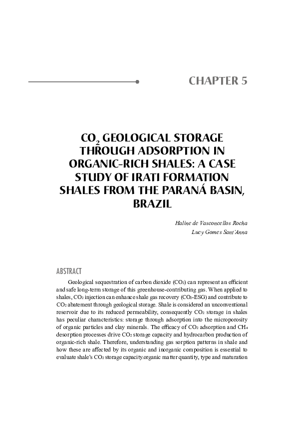 (PDF) CO2 Geological Storage Through Adsorption in Organic-Rich Shales ...